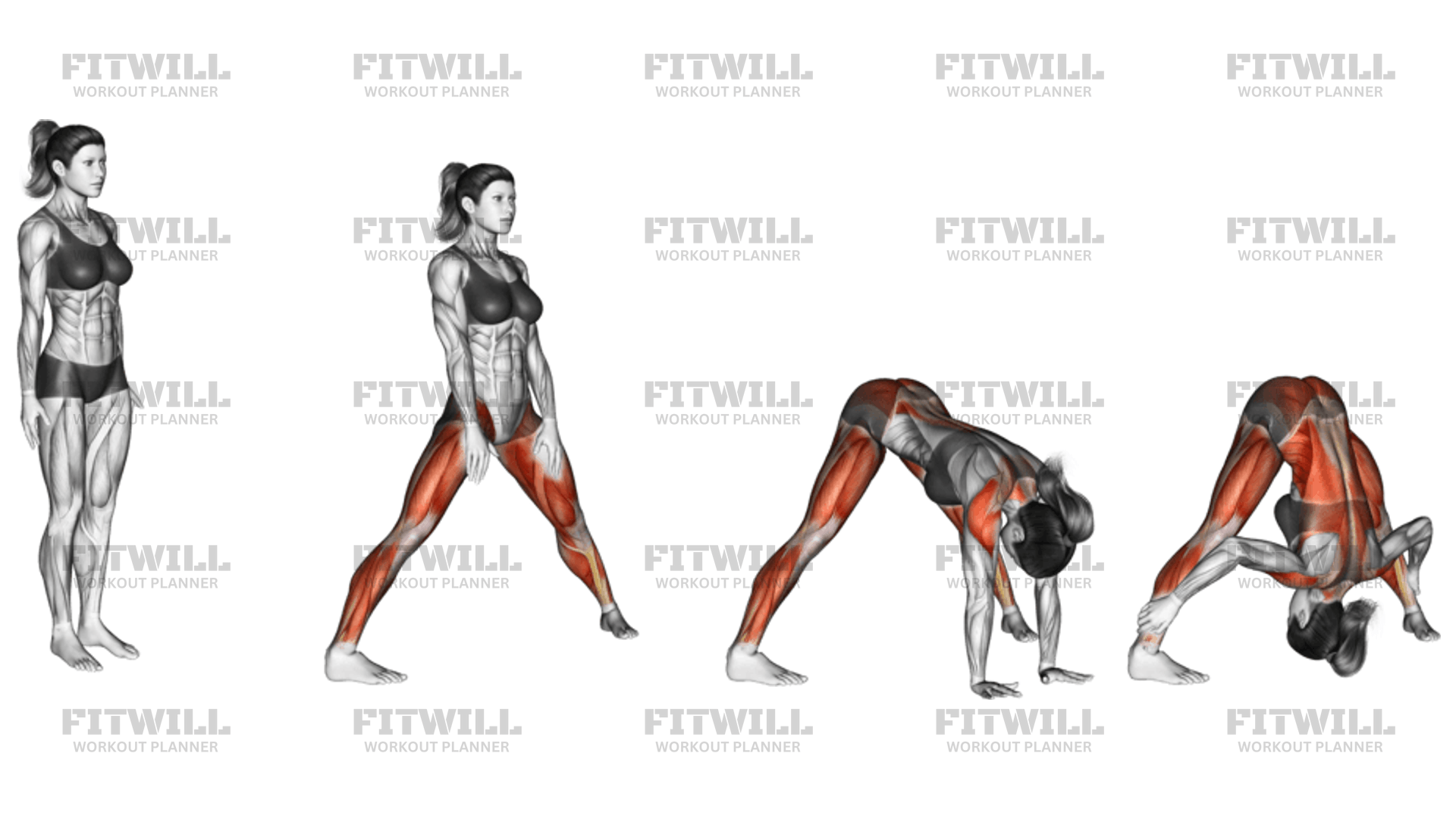 Wide Legged Forward Bend Prasarita Padottanasana: Exercise Guide ...