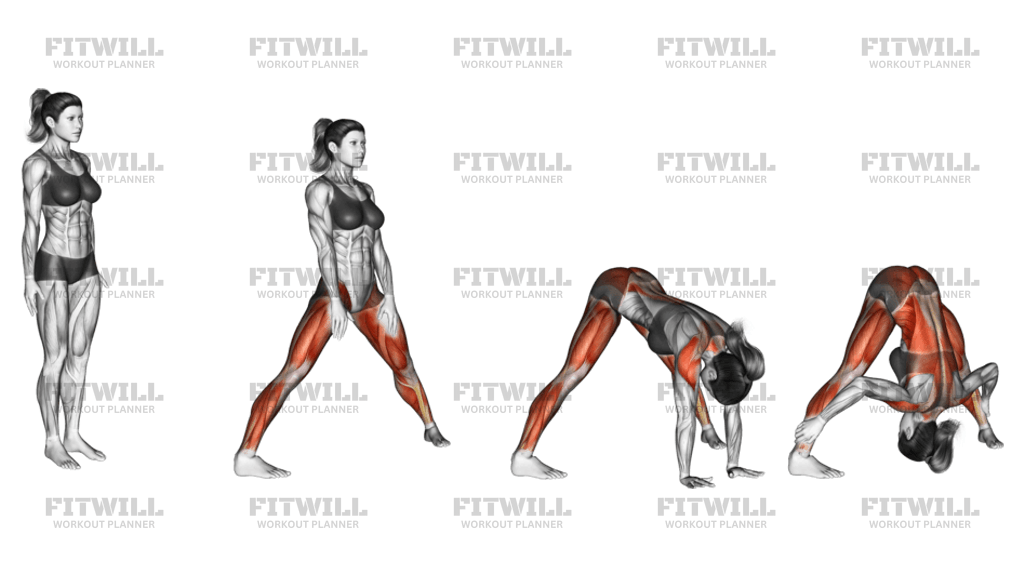 Wide Legged Forward Bend Prasarita Padottanasana: Exercise Guide ...