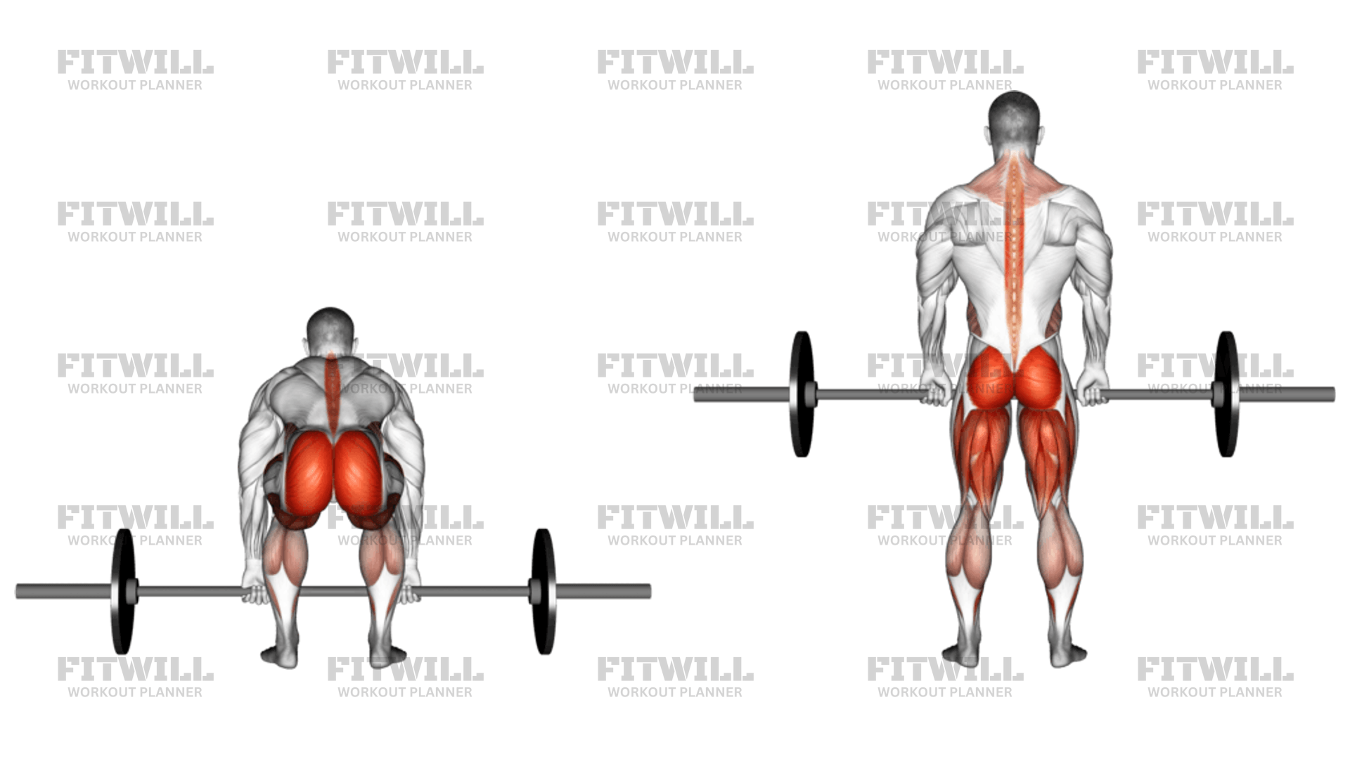 Barbell Deadlift Back View: Exercise Guide, Techniques, Benefits, How ...