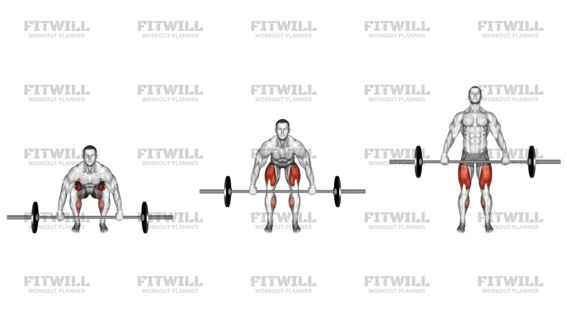Barbell Deadlift Front View: Exercise Guide, Video, Techniques ...