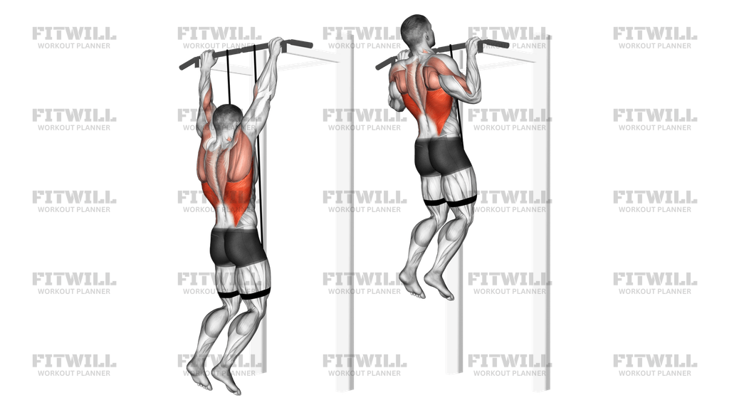 Band Assisted Pull-up: Exercise Guide, Techniques, Benefits, How to ...