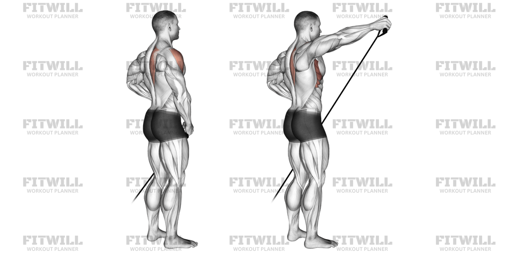 Band Front Lateral Raise: Exercise Guide, Video, Techniques, Benefits ...