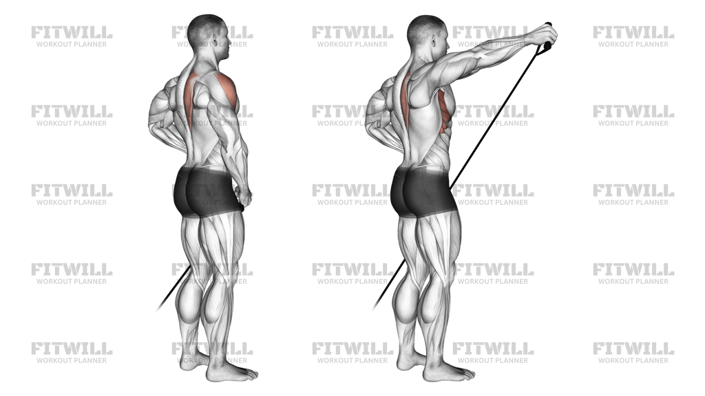 Band Front Lateral Raise: Exercise Guide, Video, Techniques, Benefits ...