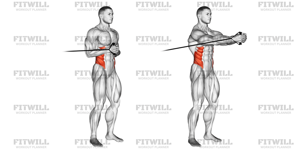Band Horizontal Pallof Press: Exercise Guide, Video, Techniques ...