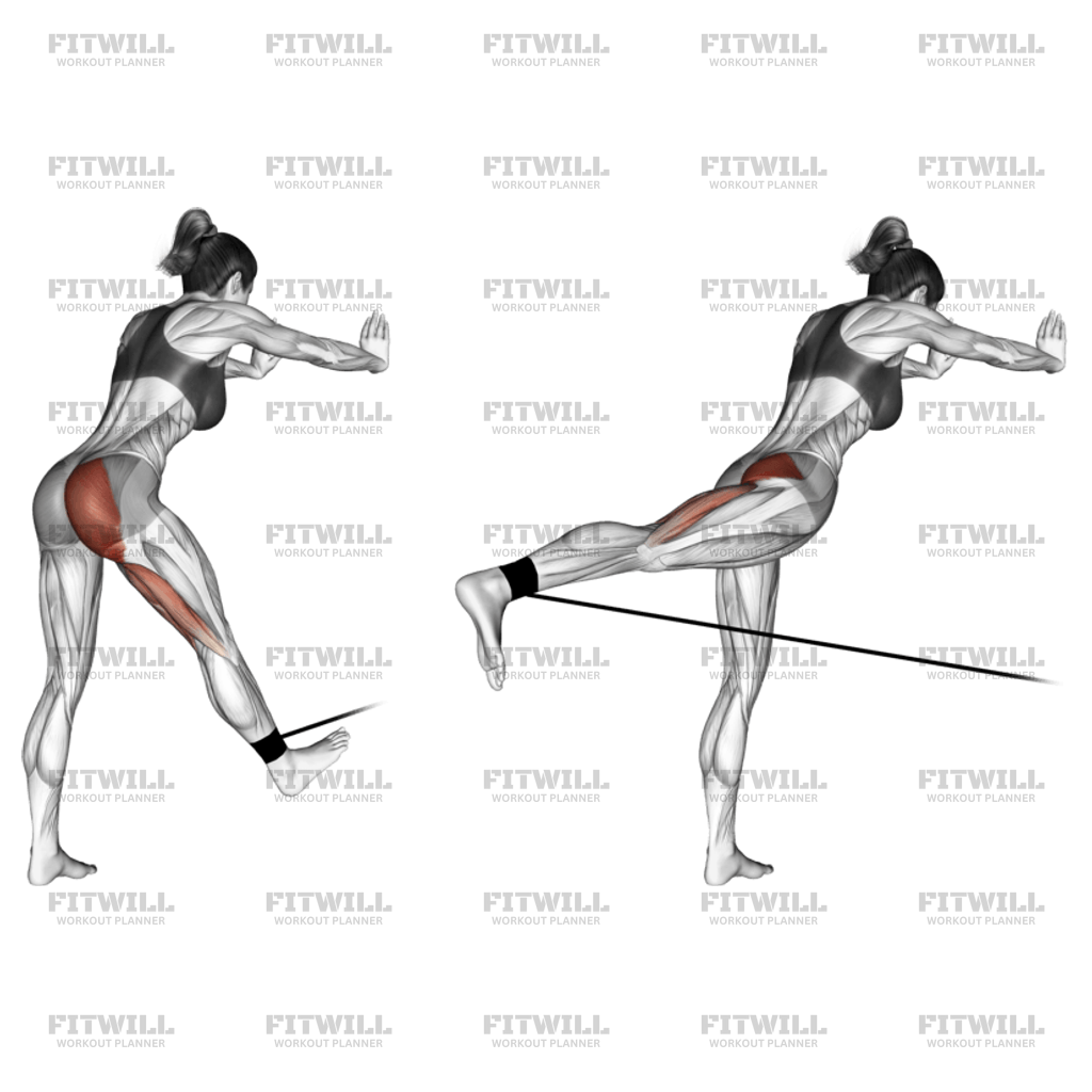 Extensión De Cadera Inclinada Con Banda: Video de Ejercicio | Fitwill
