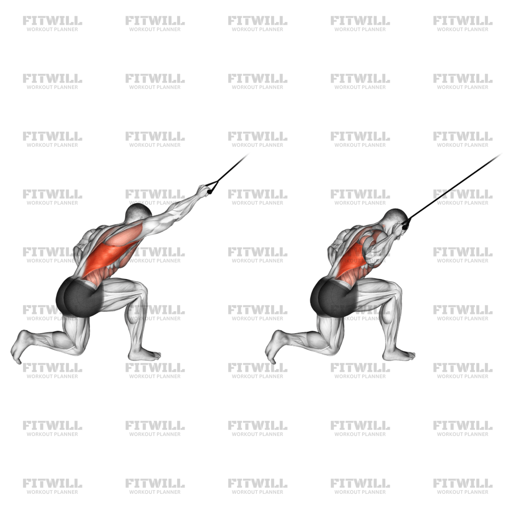 Band Kneeling One Arm Pulldown: Exercise Guide, Video, Techniques ...