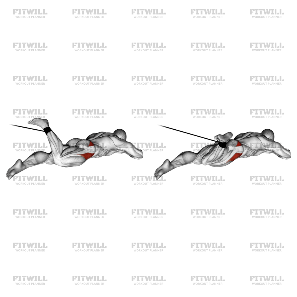 Band Lying Hip Internal Rotation: Exercise Guide, Techniques, Benefits ...