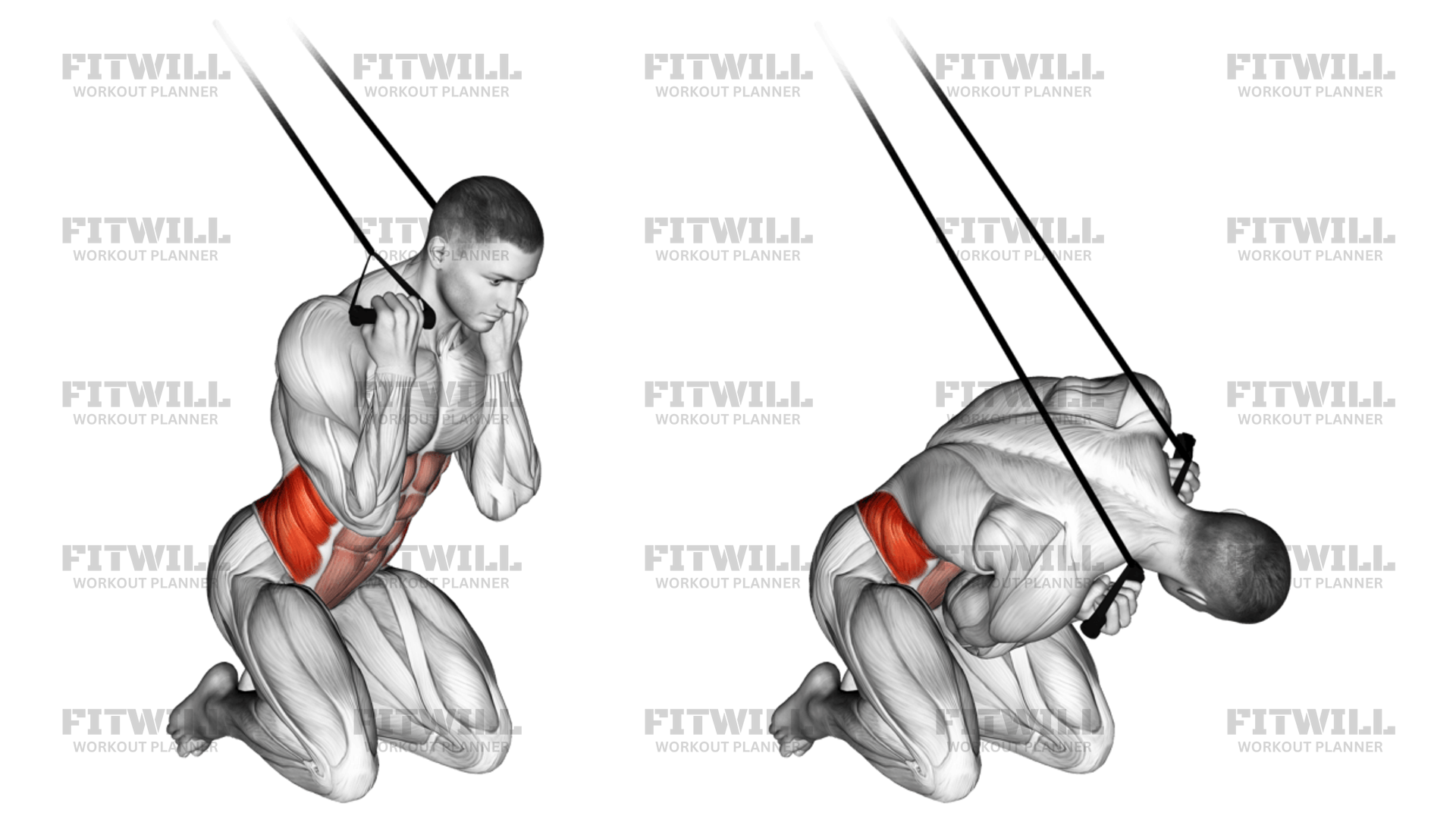 Band Kneeling Twisting Crunch: Exercise Guide, Techniques, Benefits ...
