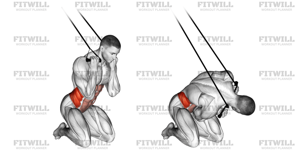 Band Kneeling Twisting Crunch: Exercise Guide, Techniques, Benefits ...