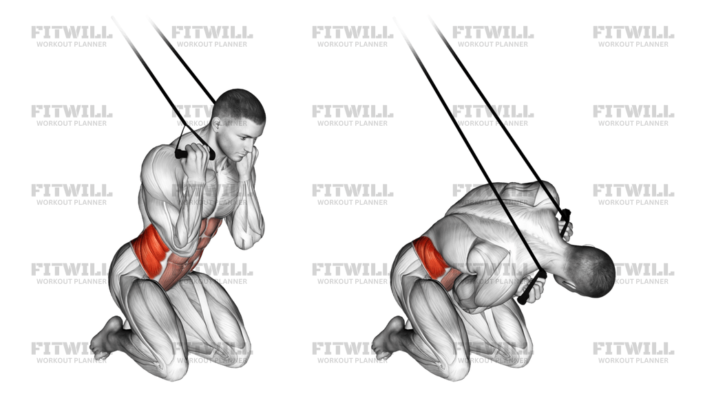 Band Kneeling Twisting Crunch: Exercise Guide, Techniques, Benefits ...