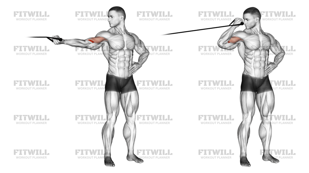 How to do Band one arm overhead biceps cur: Techniques, Benefits, Tips ...