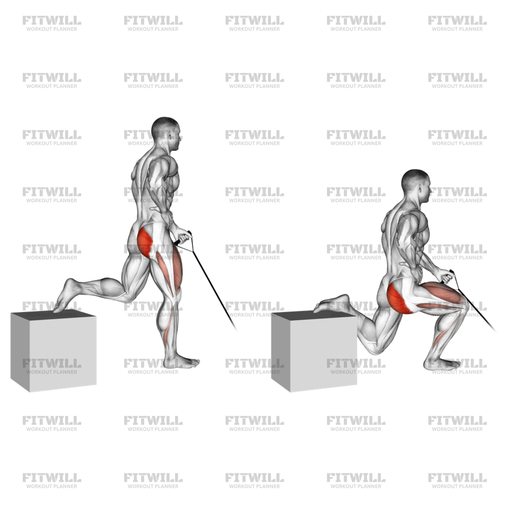 Band One Arm Single Leg Split Squat: Exercise Guide, Techniques ...