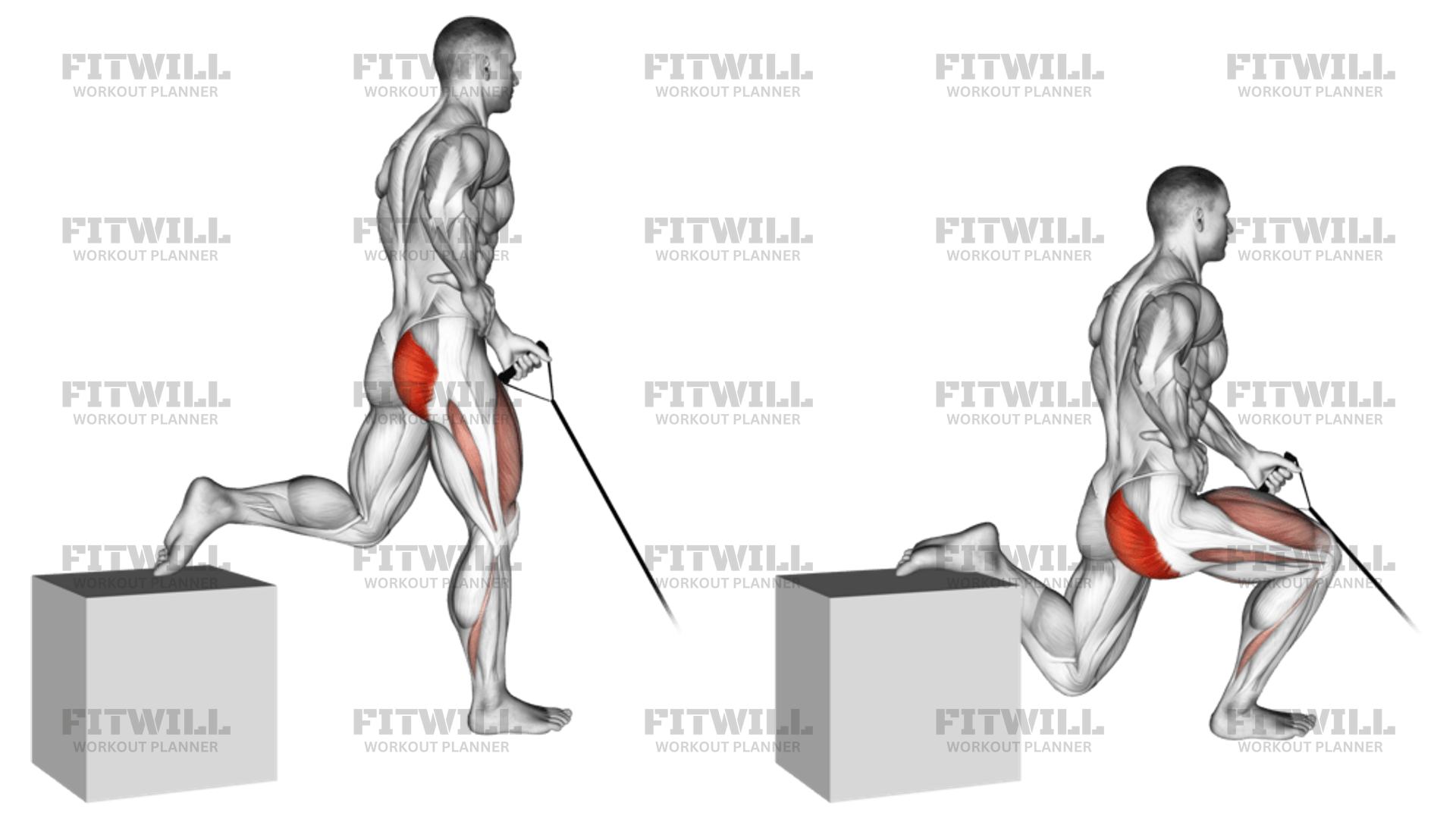 Band One Arm Single Leg Split Squat: Exercise Guide, Techniques ...