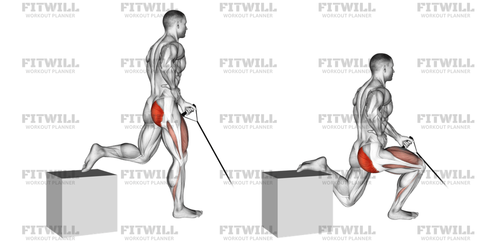Band One Arm Single Leg Split Squat: Exercise Guide, Techniques ...