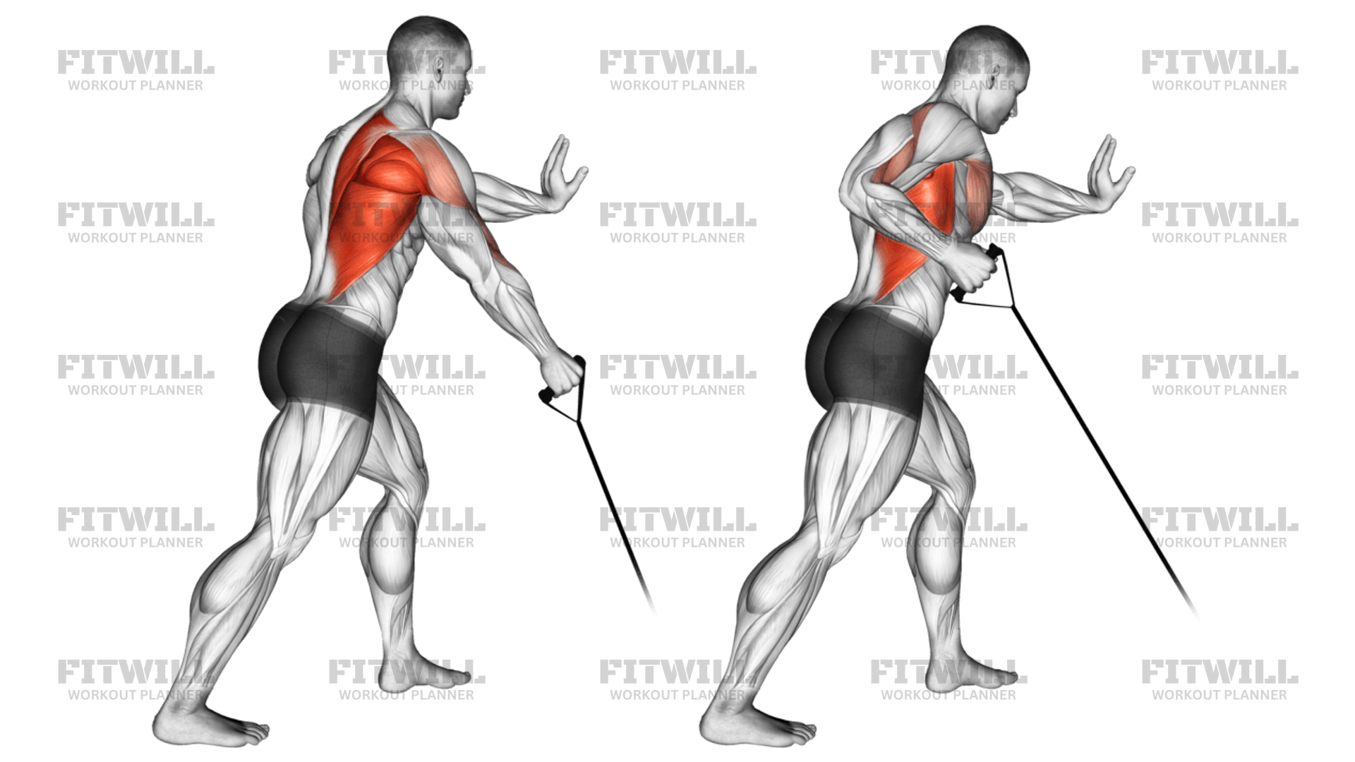 Band One Arm Standing Low Row: Exercise Guide, Techniques, Benefits ...