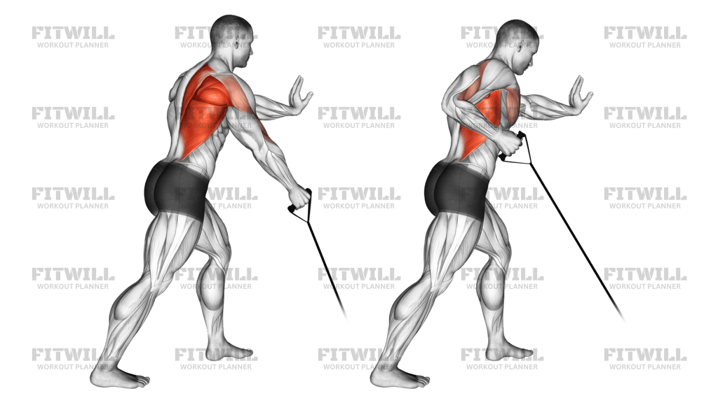 Band One-Arm Standing Low Row: Exercise Guide, Techniques, Benefits ...