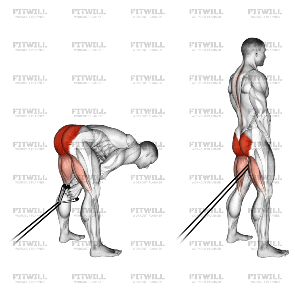 Band Pull Through: Exercise Guide, Video, Techniques, Benefits, How to, Muscles Worked, Tips ...