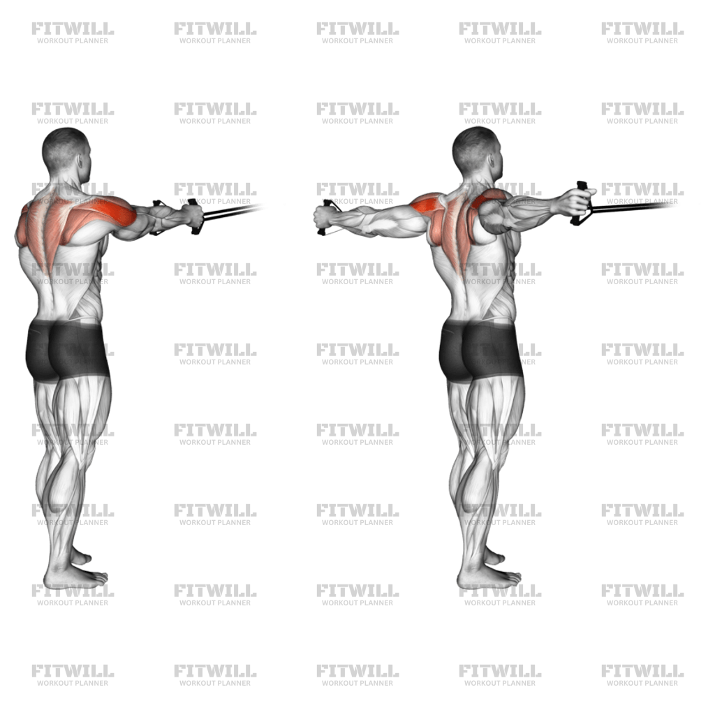 Band Reverse Fly: Exercise Guide, Video, Techniques, Benefits, How to ...