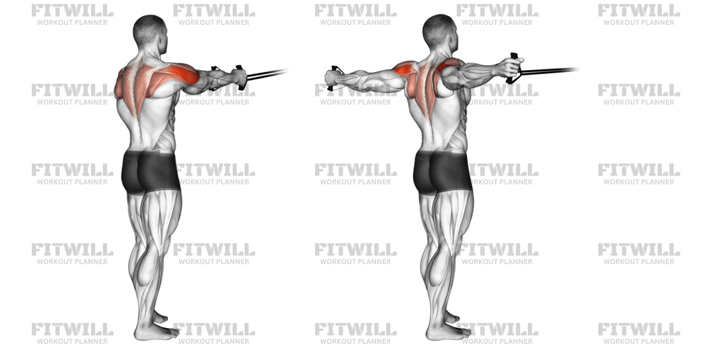 Band Reverse Fly: Exercise Guide, Video, Techniques, Benefits, How to ...