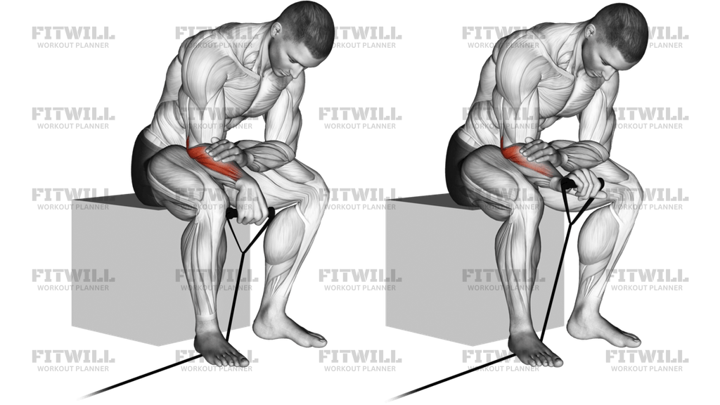 How to do Dumbbell Over Bench One Arm Reverse Wrist Curl: Techniques ...