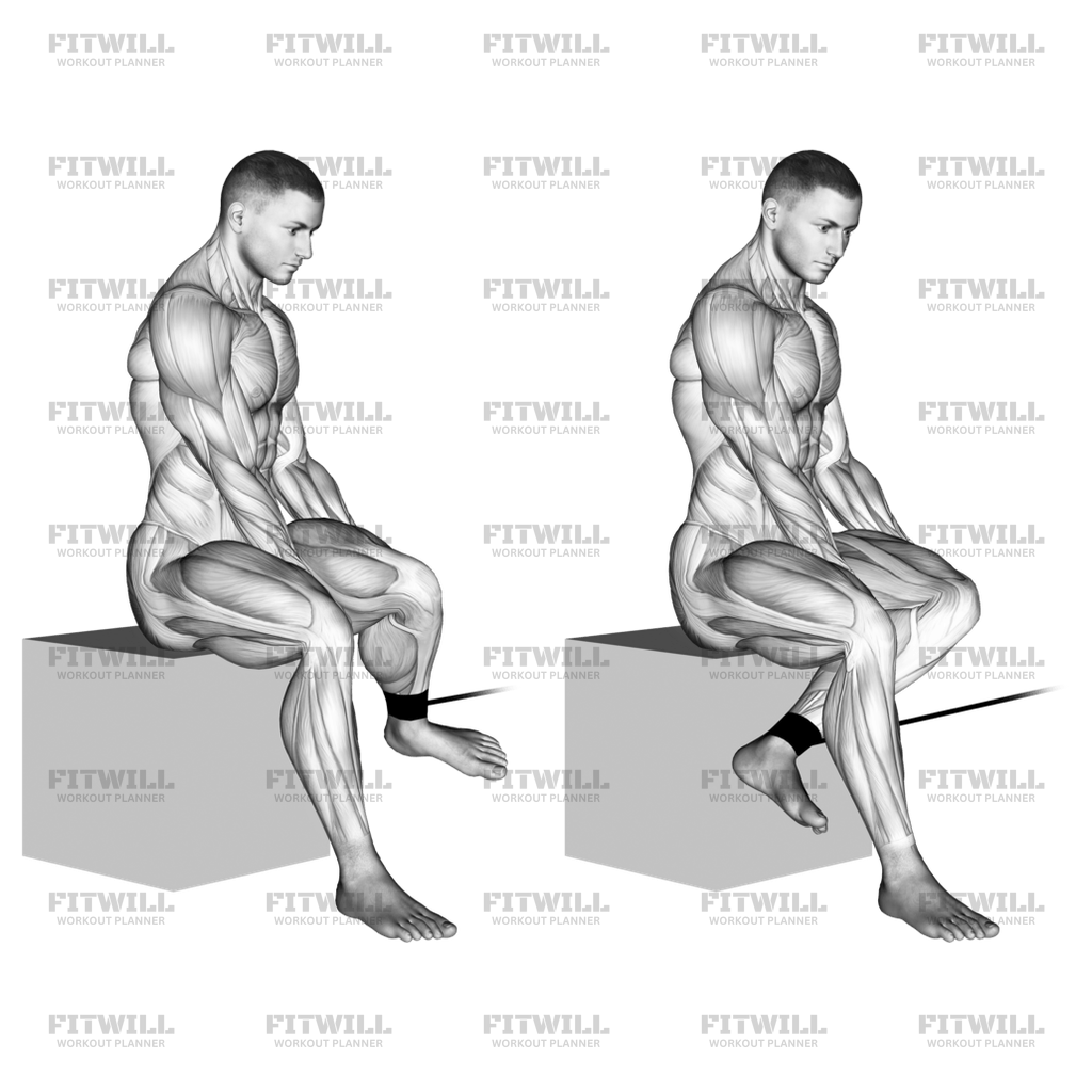 Band Seated Hip External Rotation: Exercise Guide, Video, Techniques ...