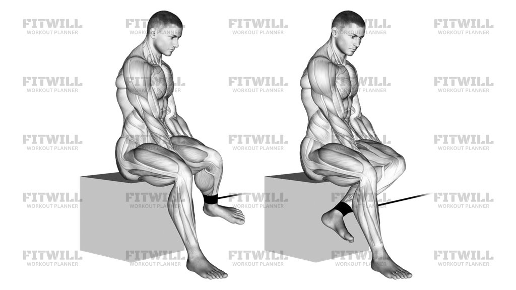 How to do Band Seated Hip External Rotation: Techniques, Benefits, Tips ...