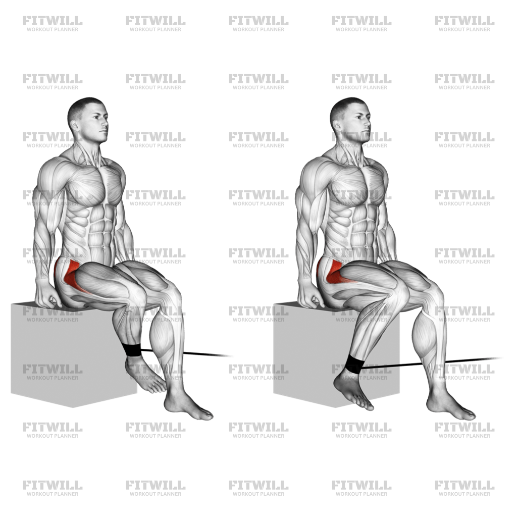 Band Seated Hip Internal Rotation: Exercise Guide, Video, Techniques ...