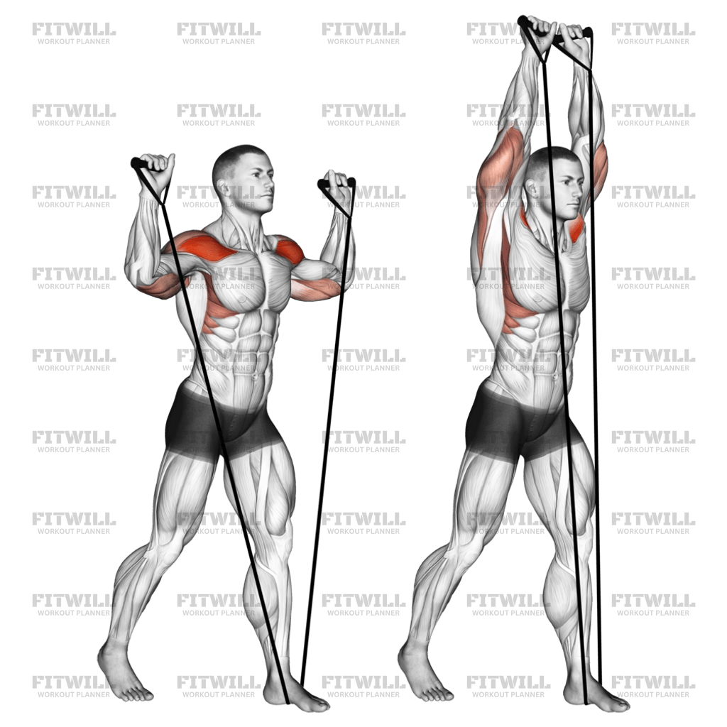 Band Shoulder Press: Exercise Guide, Techniques, Benefits, How to, Muscles Worked, Tips & Tricks ...