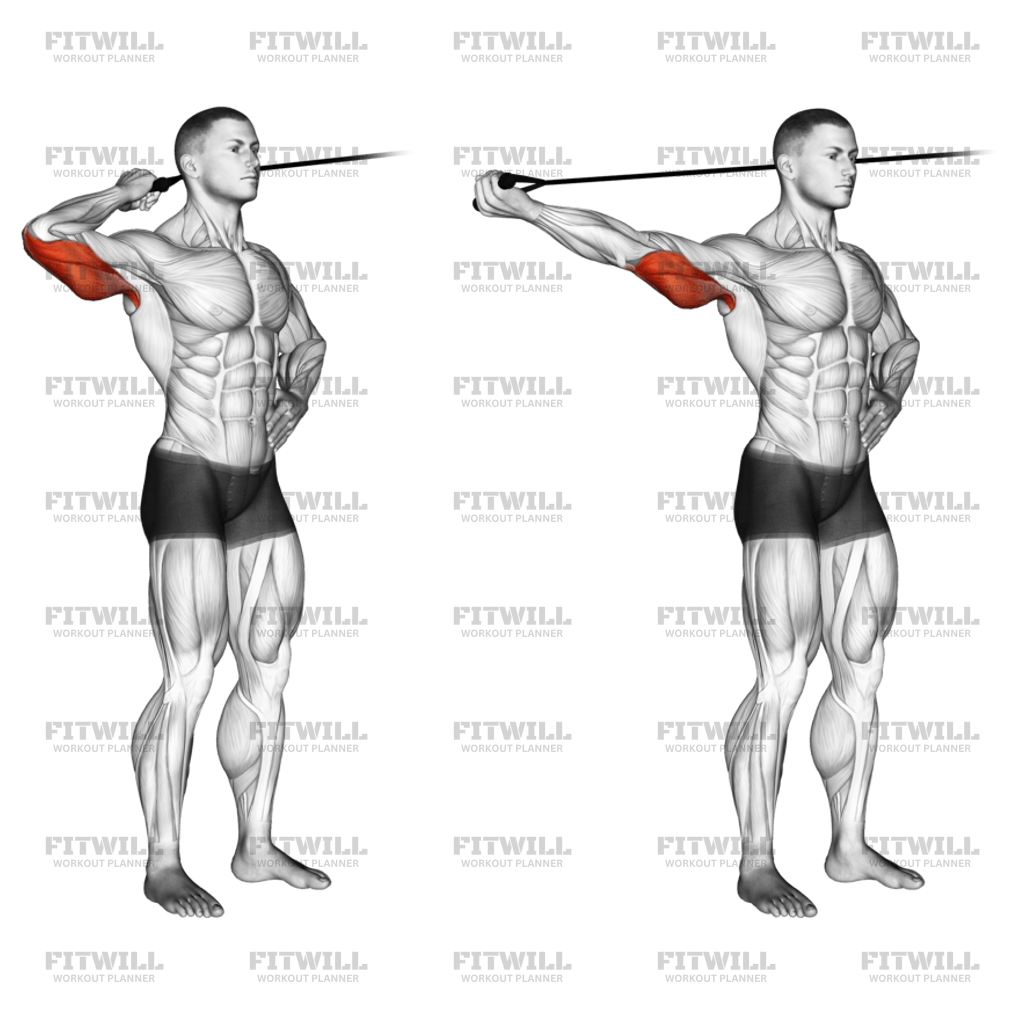Band Side Triceps Extension: Exercise Guide, Techniques, Benefits, How ...
