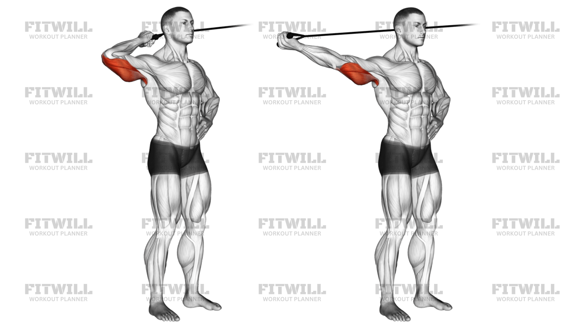 Band Side Triceps Extension: Exercise Guide, Techniques, Benefits, How ...