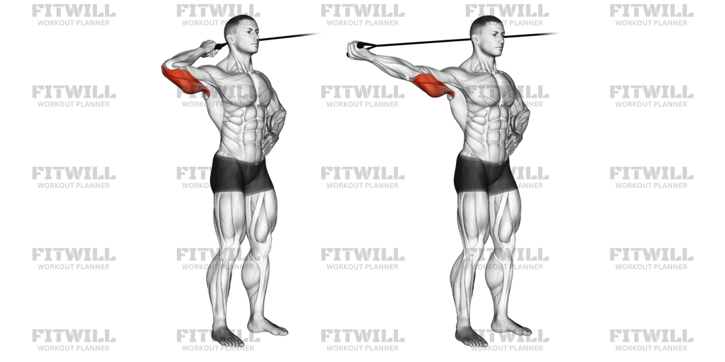 Band Side Triceps Extension: Exercise Guide, Techniques, Benefits, How ...