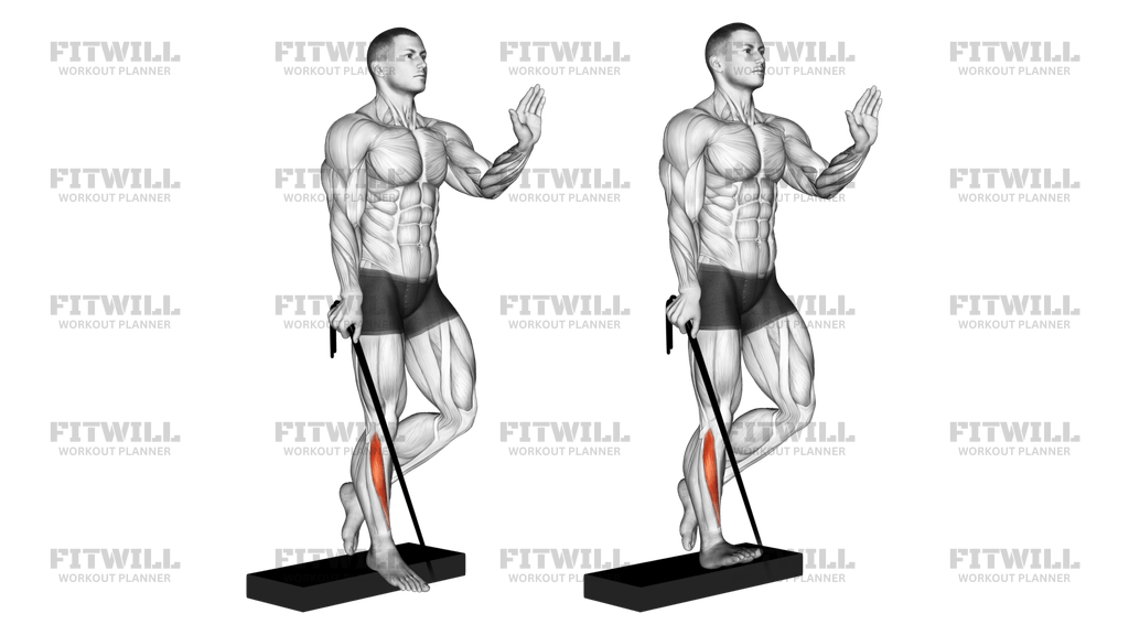 Band Single Leg Reverse Calf Raise: Exercise Guide, Techniques ...