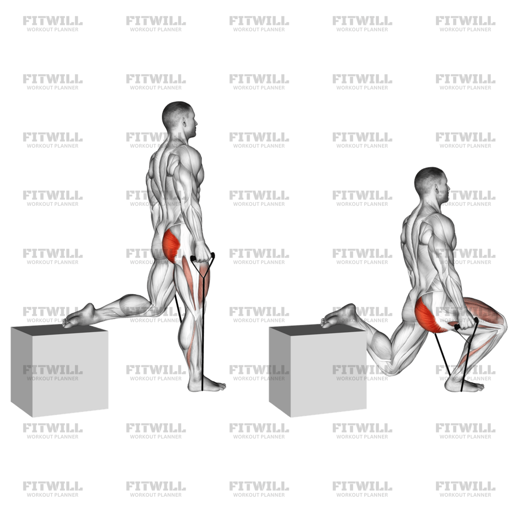 Band Single Leg Split Squat: Exercise Guide, Video, Techniques ...