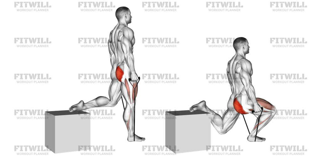 Band Single Leg Split Squat: Exercise Guide, Video, Techniques ...