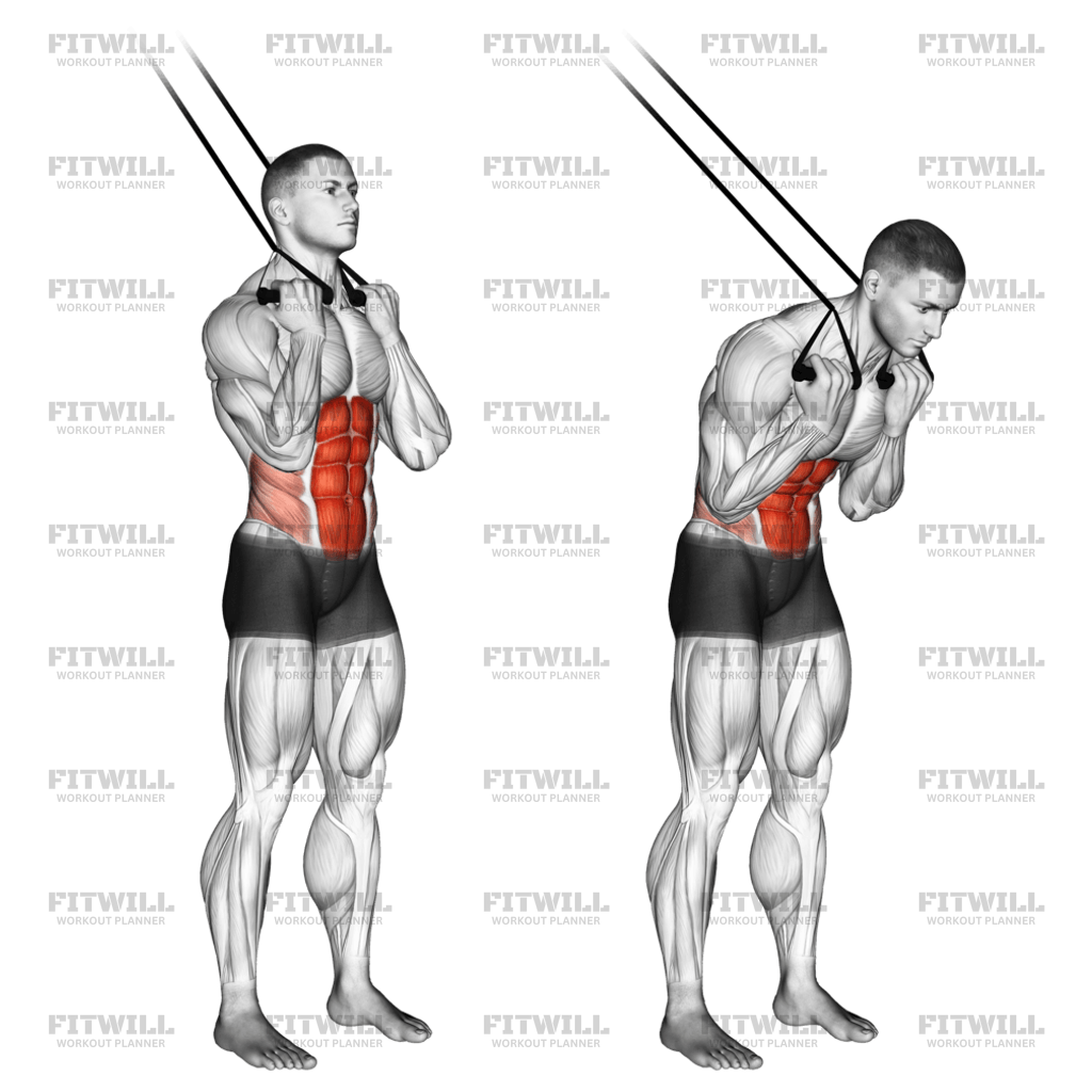 Band Standing Crunch: Exercise Guide, Video, Techniques, Benefits, How ...
