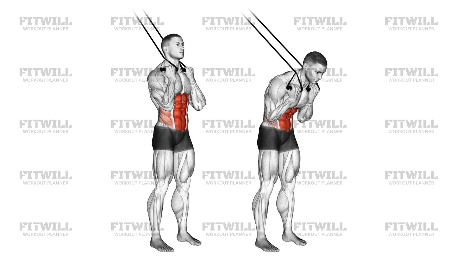 Band Standing Crunch: Exercise Guide, Video, Techniques, Benefits, How ...