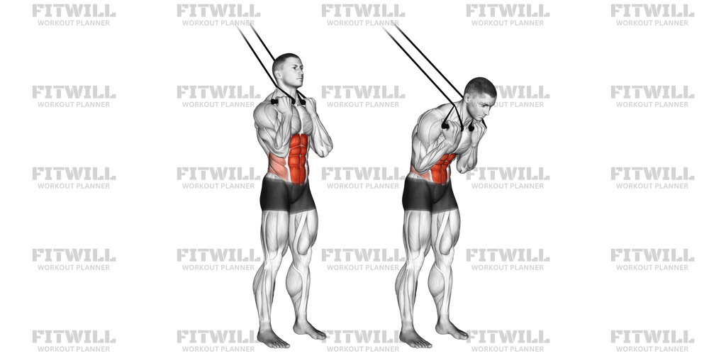 Band Standing Crunch: Exercise Guide, Video, Techniques, Benefits, How ...