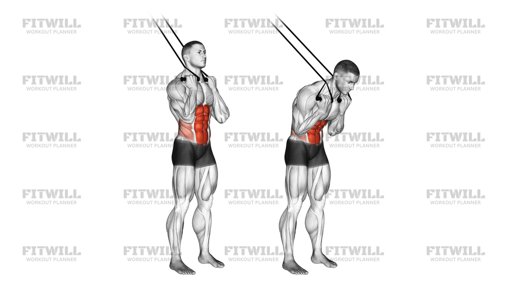 Band Standing Crunch: Exercise Guide, Video, Techniques, Benefits, How ...