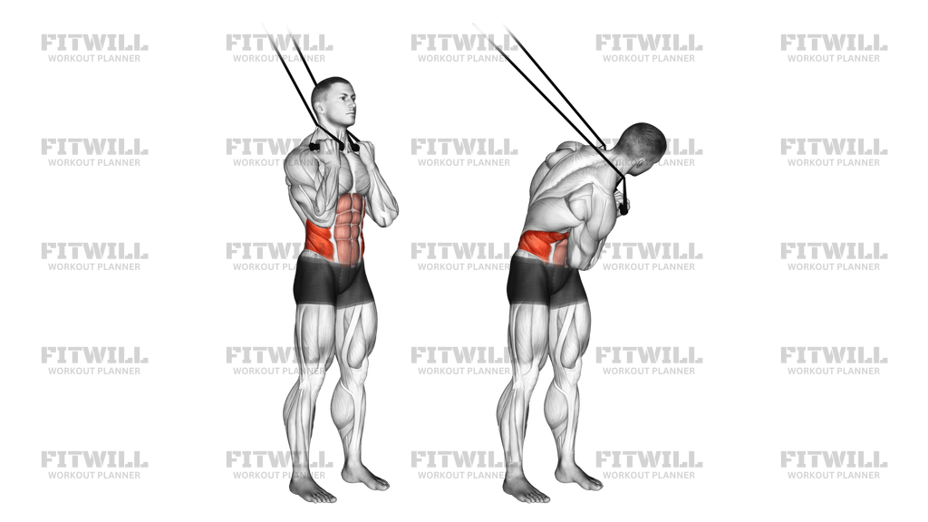 Band Standing Twisting Crunch: Exercise Guide, Techniques, Benefits ...