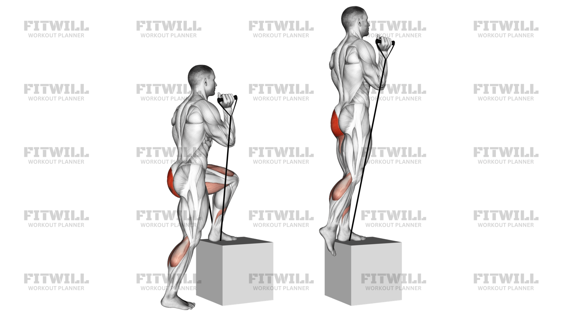 Band Step-up: Exercise Guide, Video, Techniques, Benefits, How to, Muscles Worked, Tips & Tricks ...