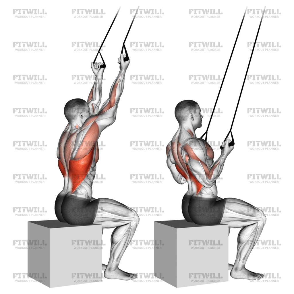 Jalón Con Banda Y Agarre Supino: Guía de Ejercicios, Técnicas ...