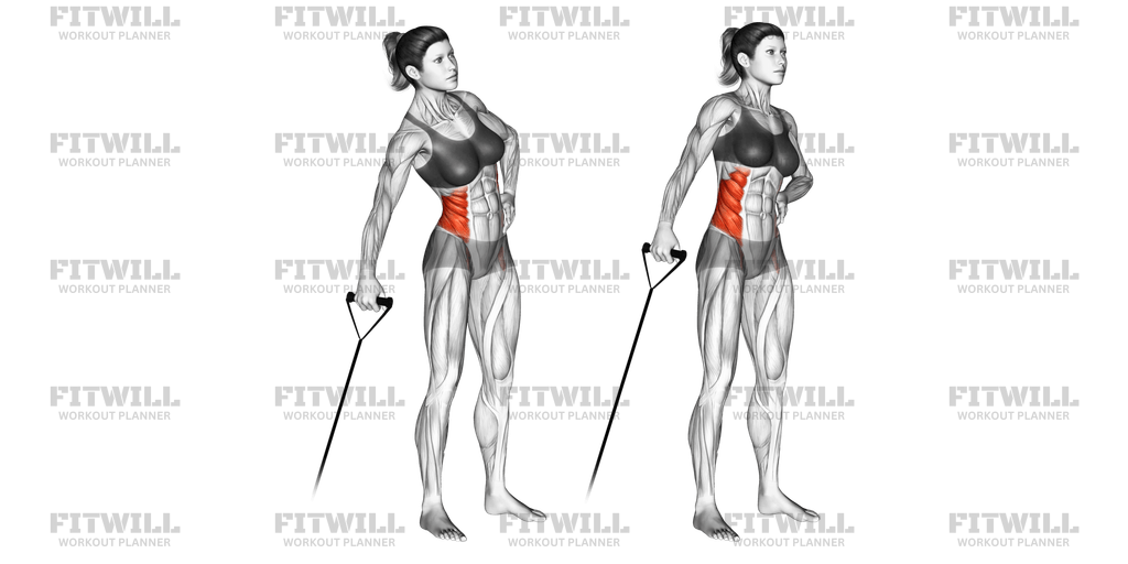 Band Side Bend: Exercise Guide, Video, Techniques, Benefits, How to ...