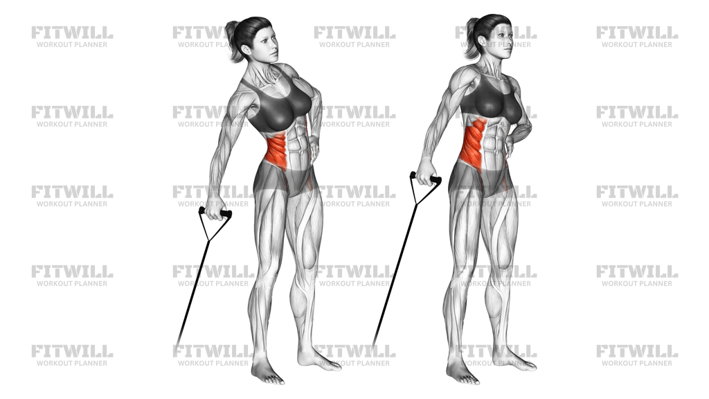 Band Side Bend: Exercise Guide, Video, Techniques, Benefits, How to ...