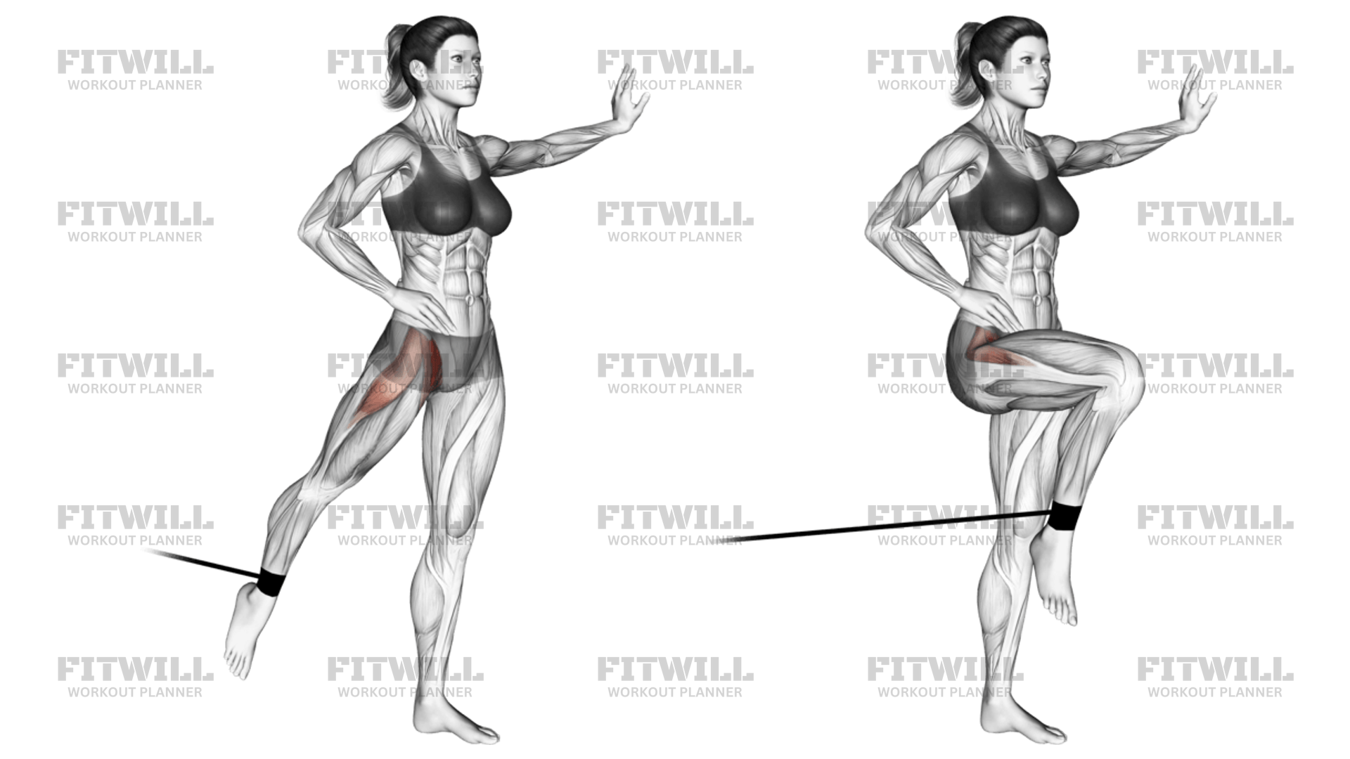 Band Standing Leg Raise: Exercise Guide, Techniques, Benefits, How to ...