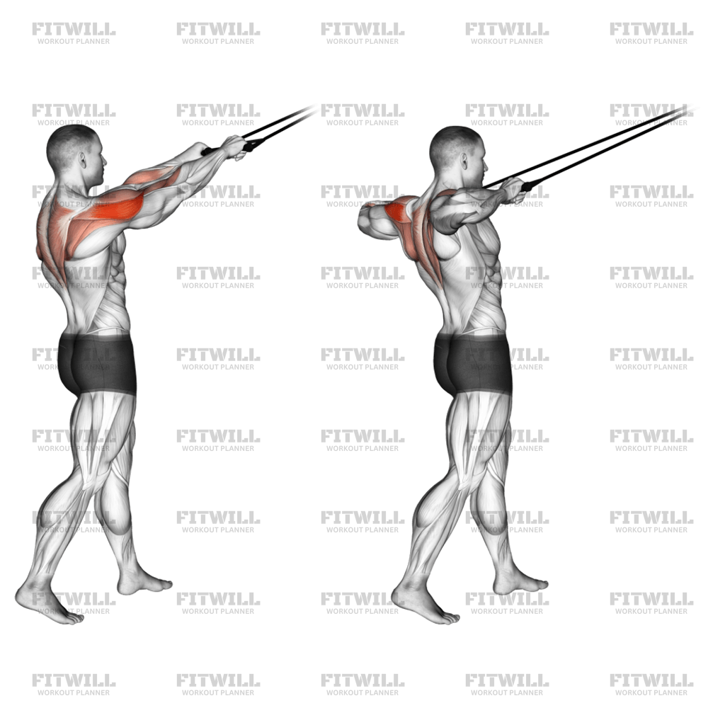 Band Standing Rear Delt Row: Exercise Guide, Video, Techniques ...