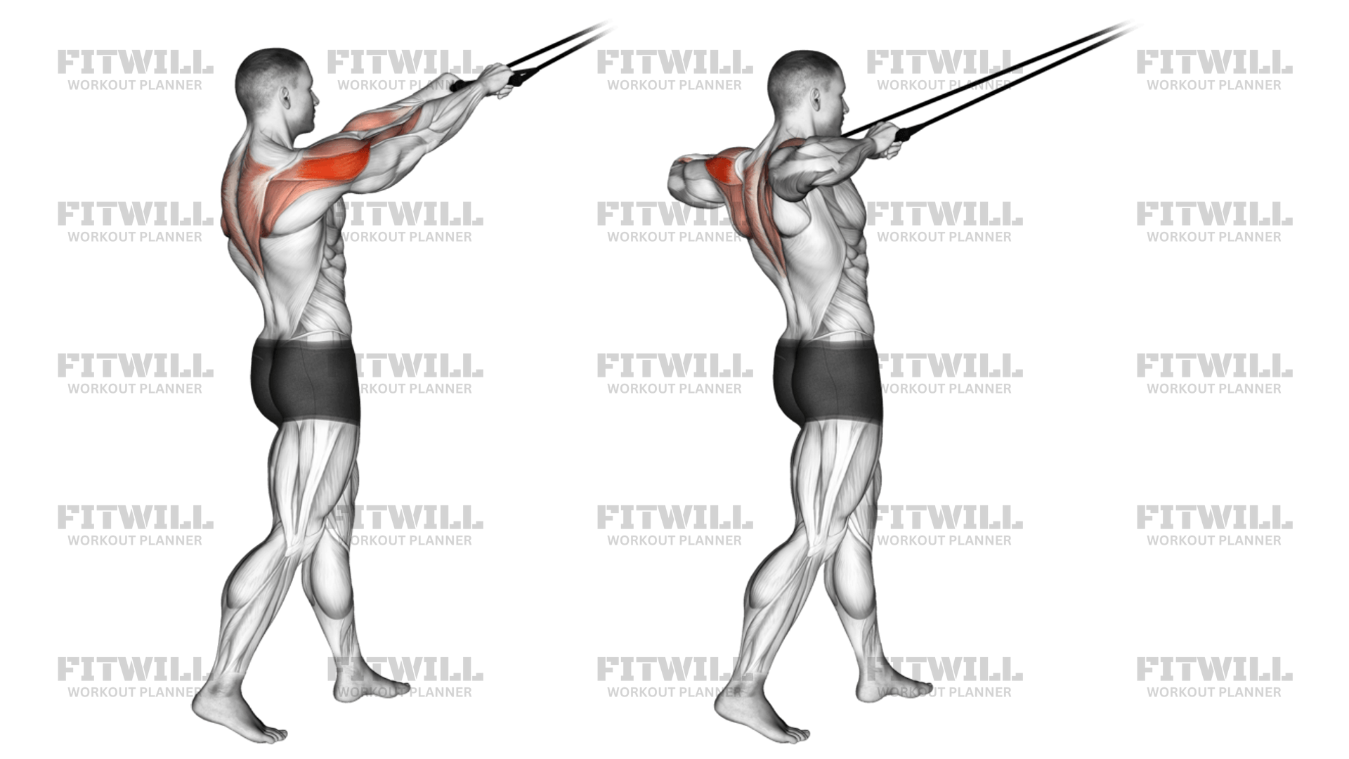 Remo De Deltoides Posteriores De Pie Con Banda: Guía de Ejercicios ...