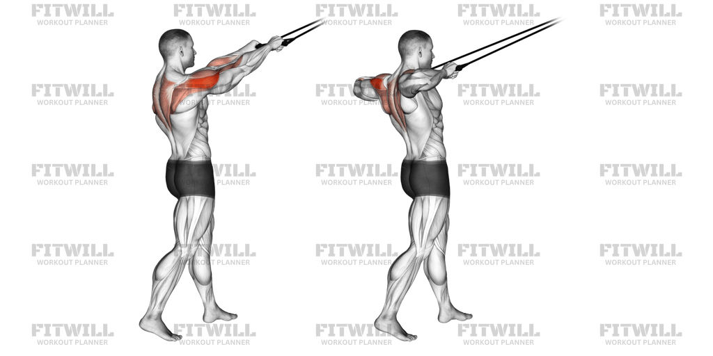 Band Standing Rear Delt Row: Exercise Guide, Video, Techniques ...