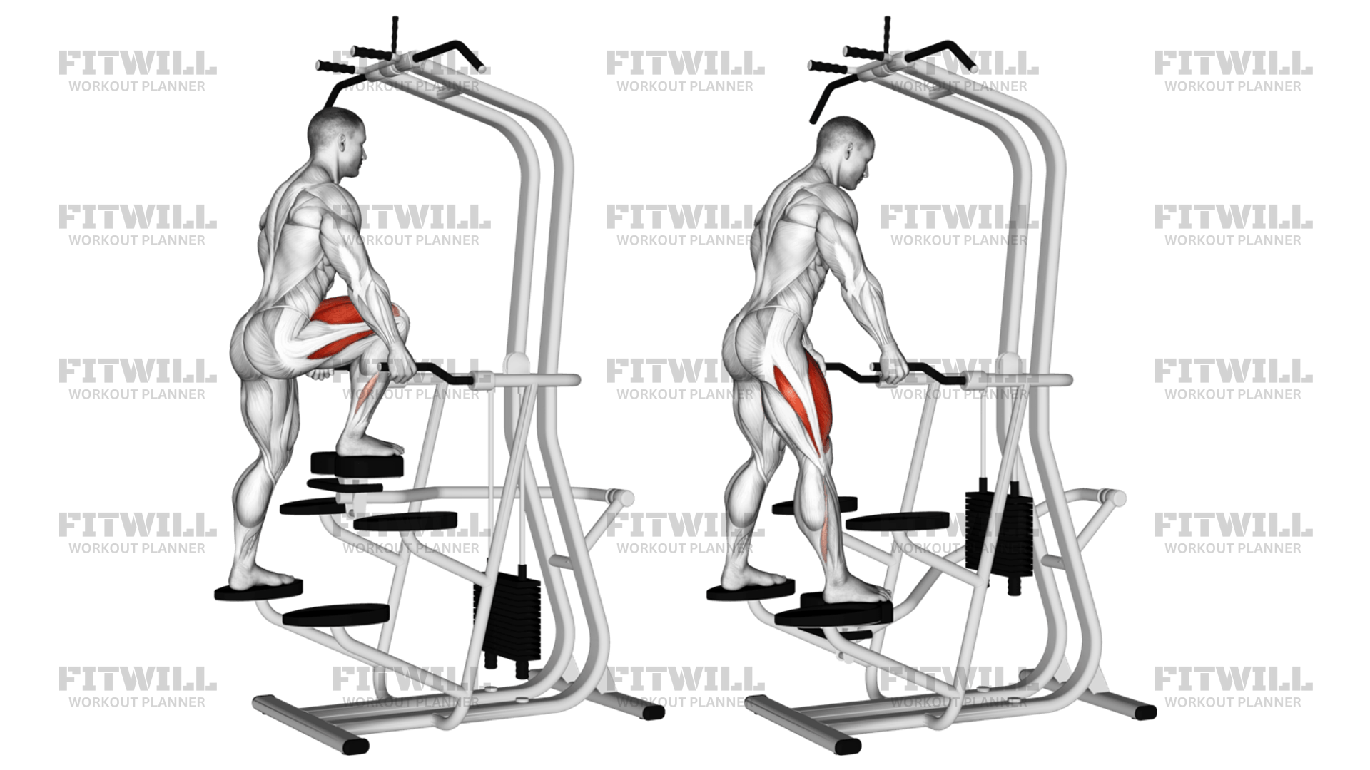 Assisted Single Leg Press: Exercise Guide, Video, Techniques, Benefits ...