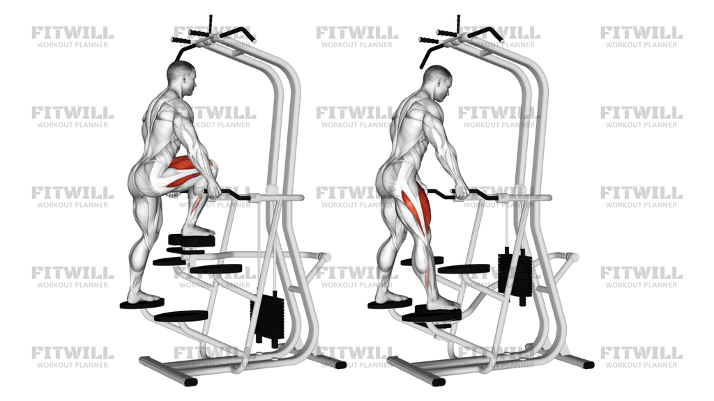 Assisted Single Leg Press: Exercise Guide, Video, Techniques, Benefits ... Assisted Single Leg Press: Exercise Guide, Video, Techniques, Benefits ...