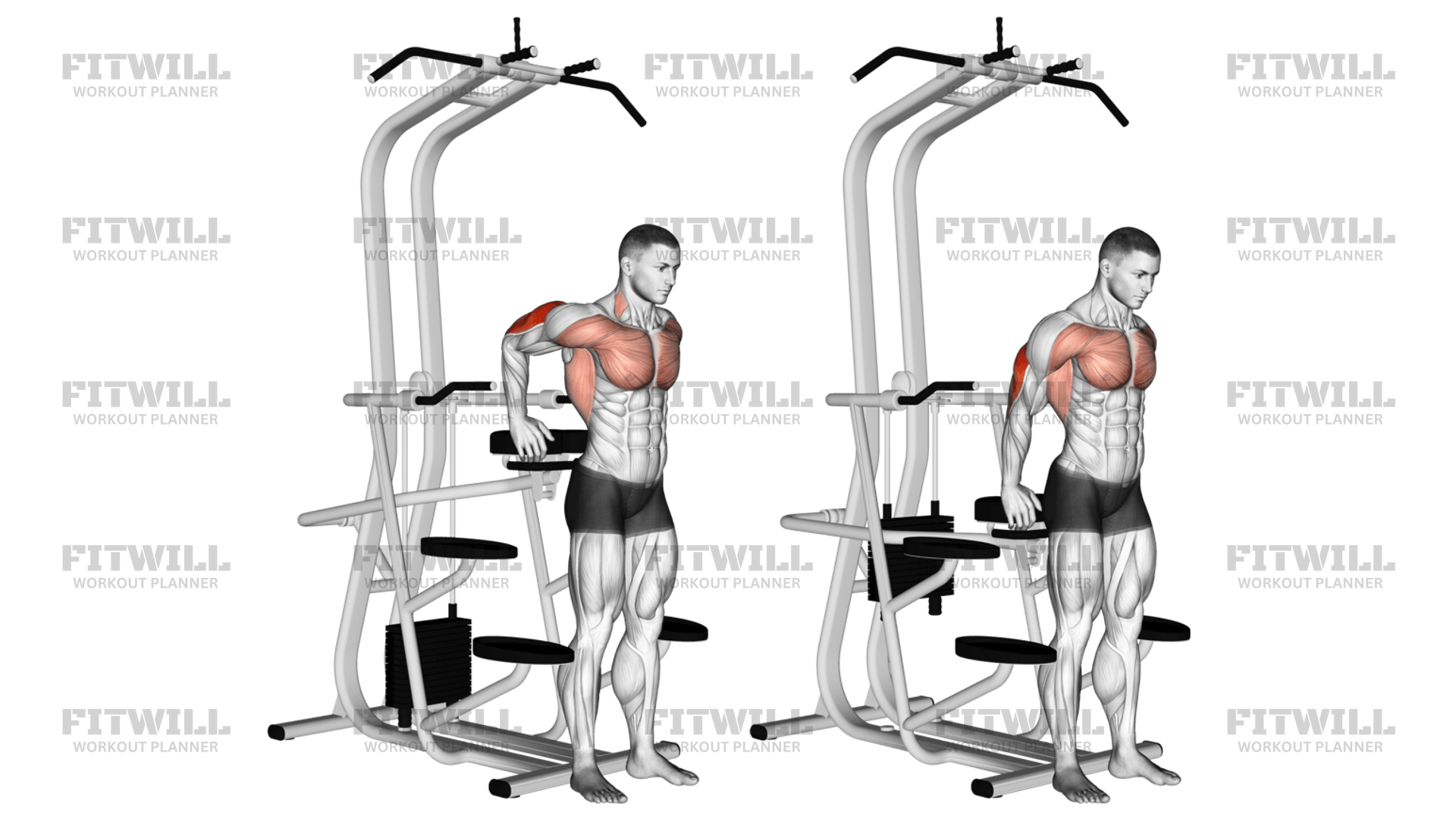 Assisted Standing Triceps Dip: Exercise Guide, Techniques, Benefits ...